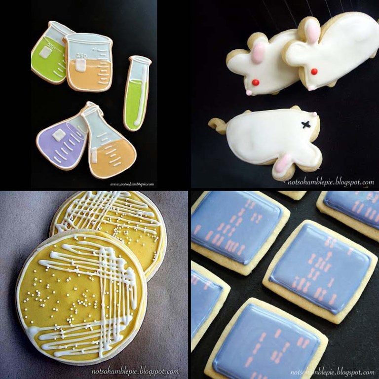 science | Crafty Little Secret…